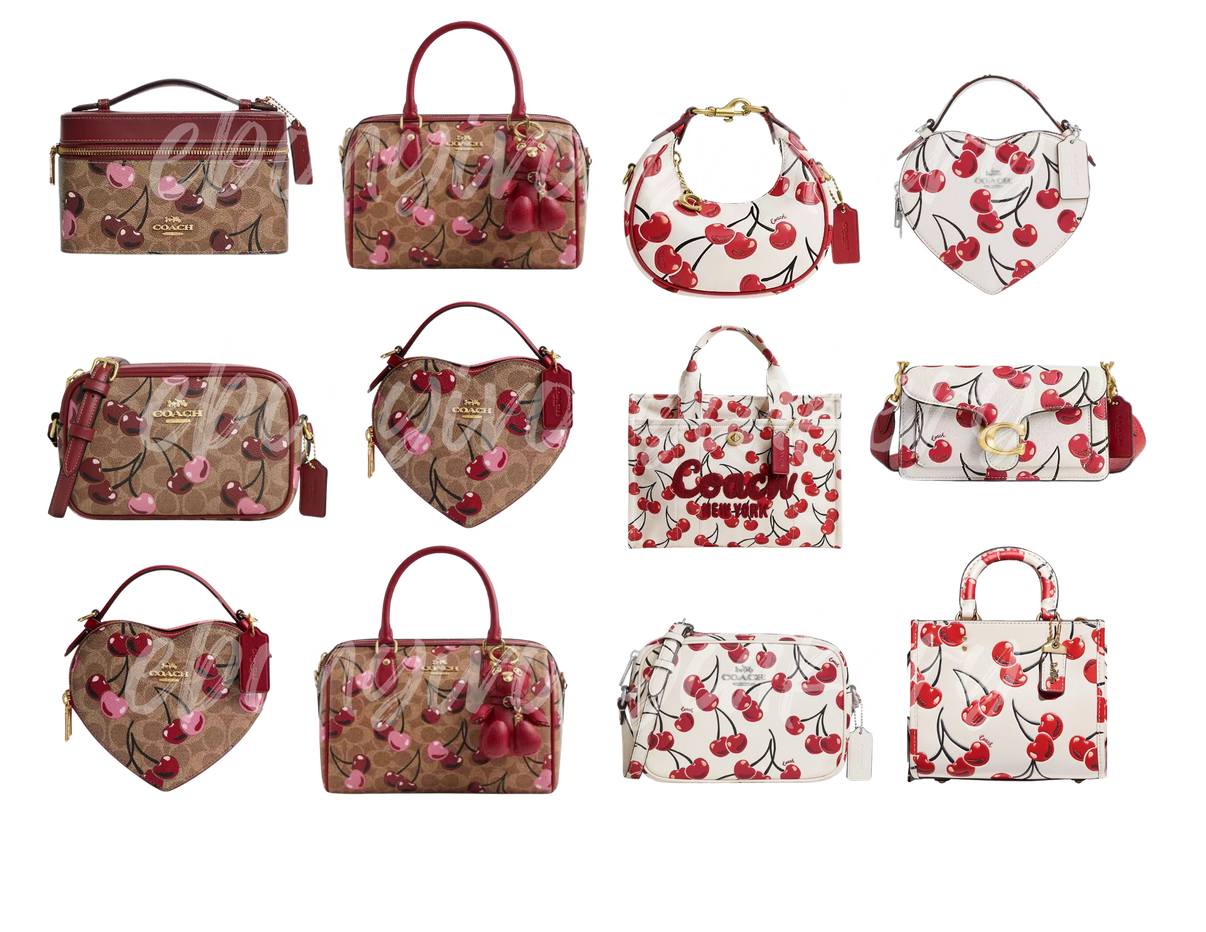 Coach Cherry Collection 1 – Ebony Ivory Cakery